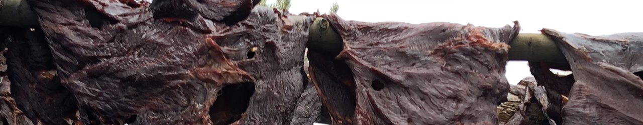 Culture – Black Lake First Nation